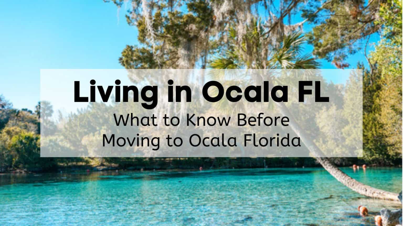 Living in Ocala FL Guide | What to Know Before Moving to Ocala Florida!