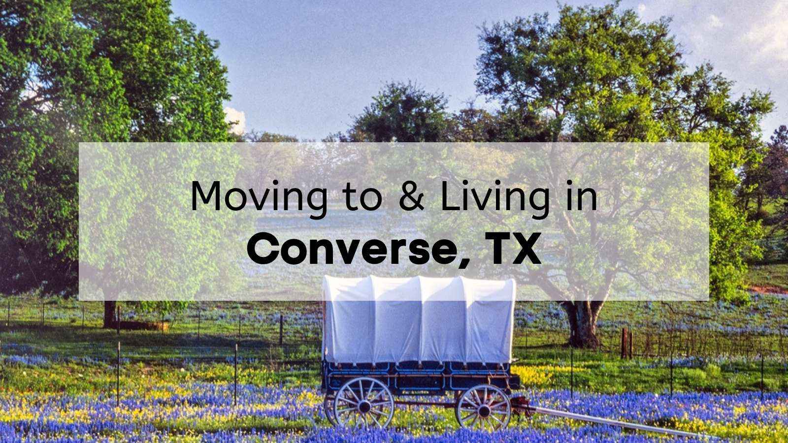 Living in Converse 🏘 | What to Know Before Moving to Converse TX
