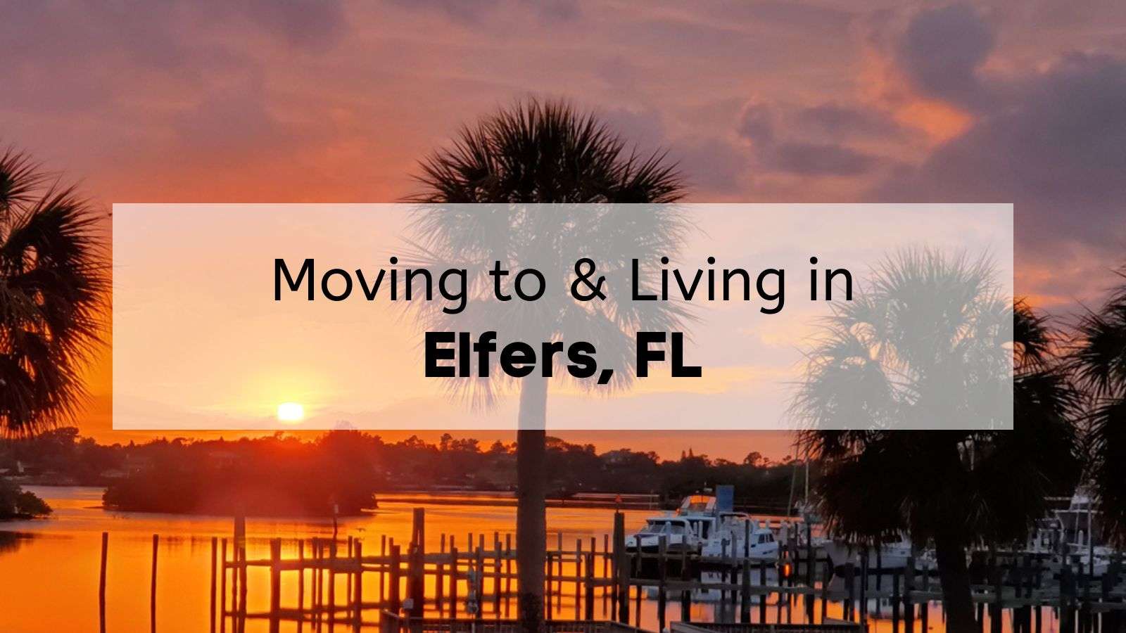Living in Elfers Guide🌴 | Everything to Know Before Moving to Elfers FL